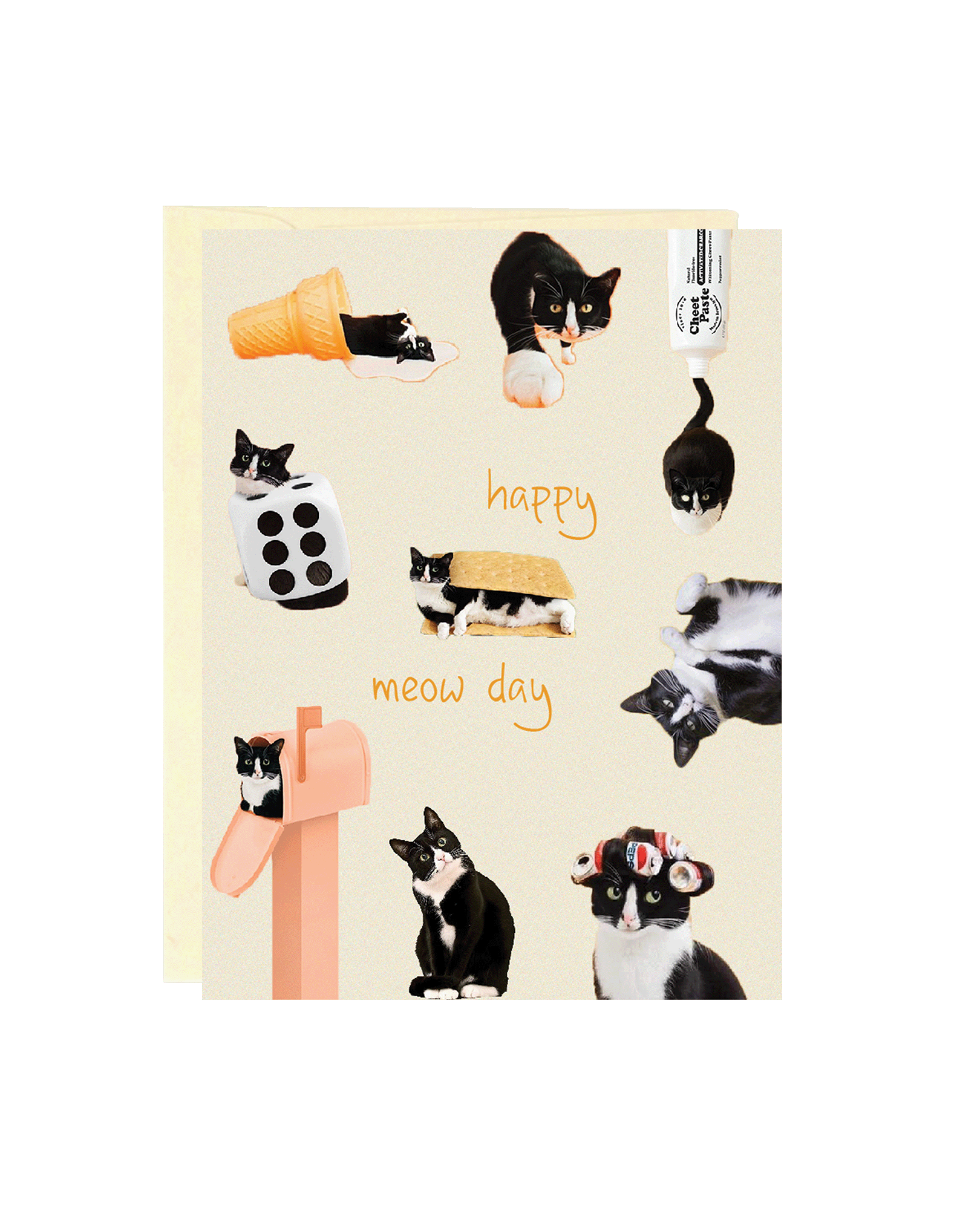 BIRTHDAY CARD - "Meow" Day – Subtle Art Studios